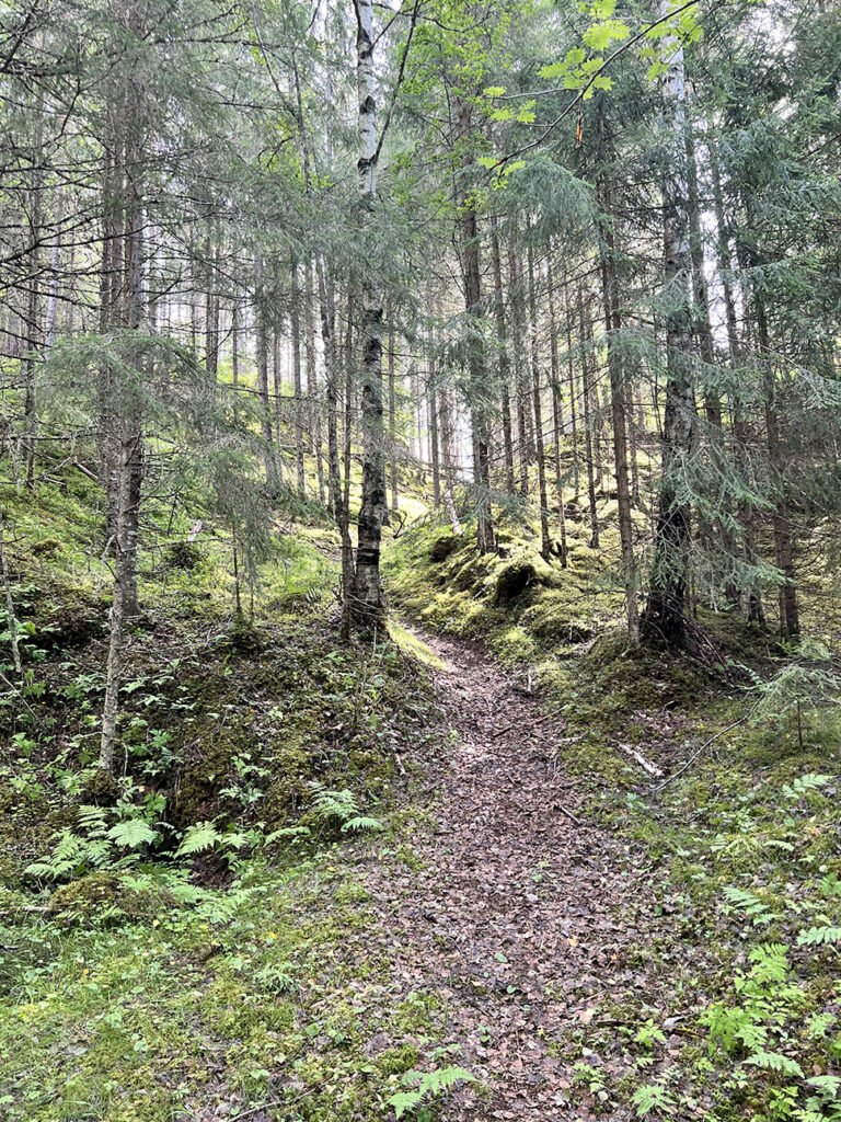 Doen in Fredriksberg - Zweden - OhMyFoodness