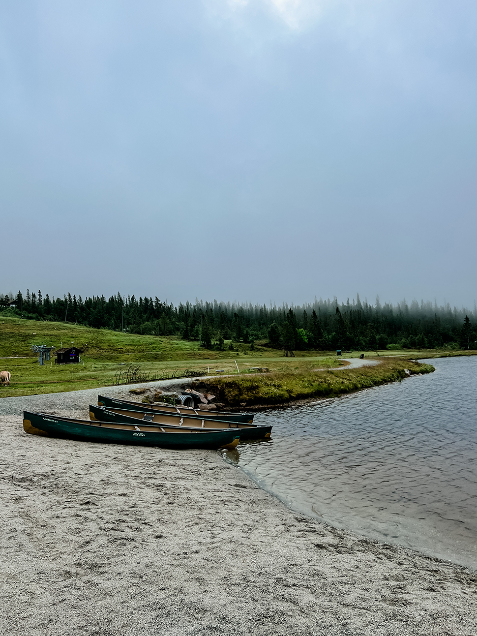 Doen in Noresund - Noorwegen - OhMyFoodness