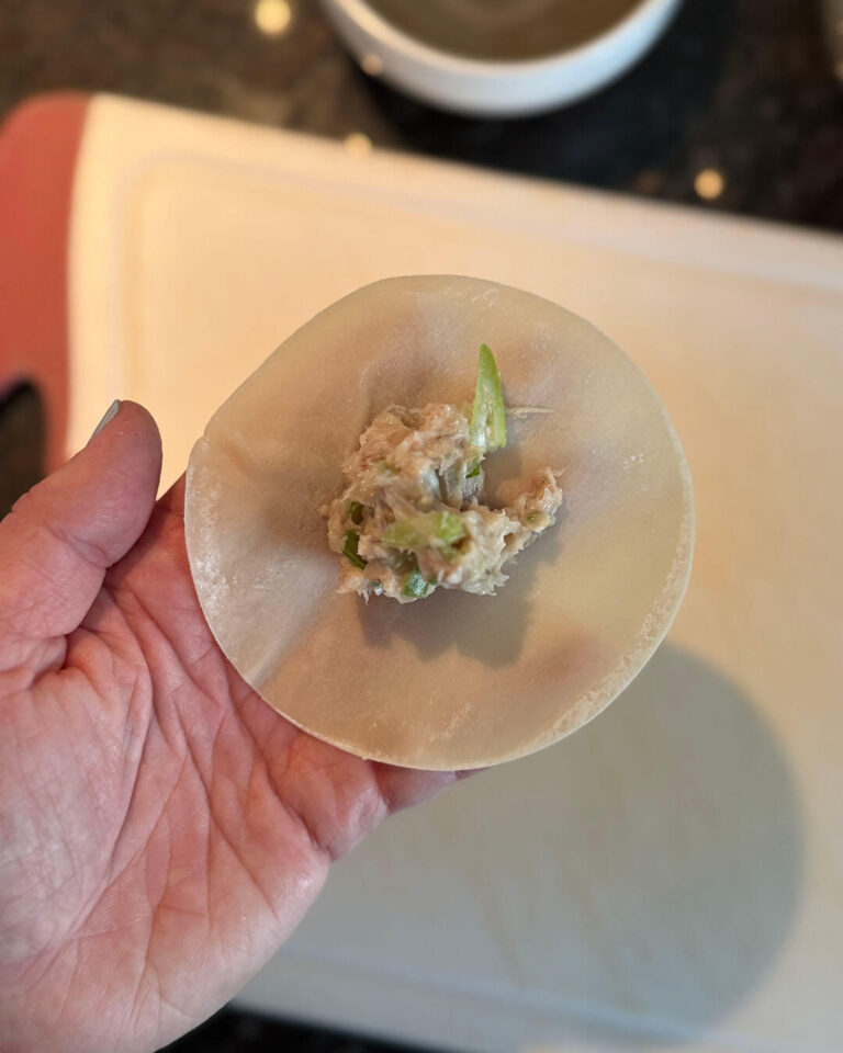 Gyoza recept - de basis - OhMyFoodness